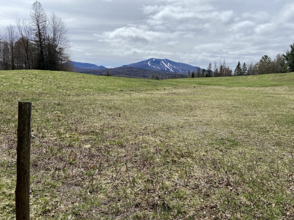 1993 Carter Road - 68 Acres with Off-Grid Camp $350,000 Burke VT - BRE ...