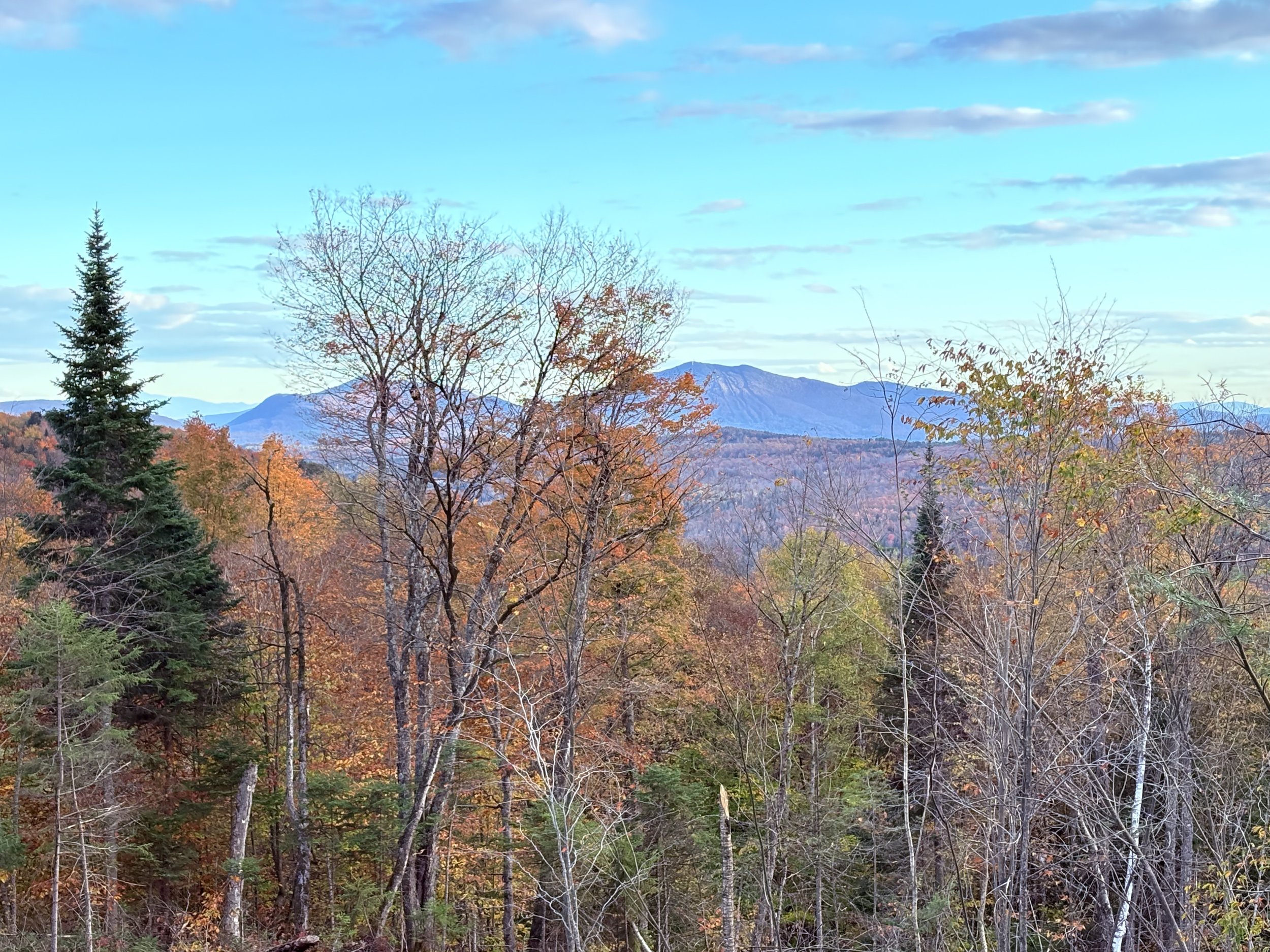 1180 Abbott Hill Road – 11.9 Acres $155,000 Newark VT – BRE – Better ...